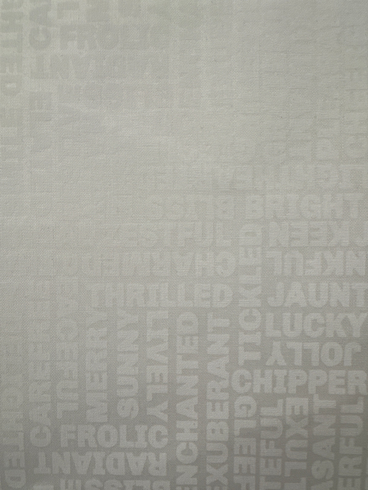 MO Coriander Seeds White — High Country Quilts