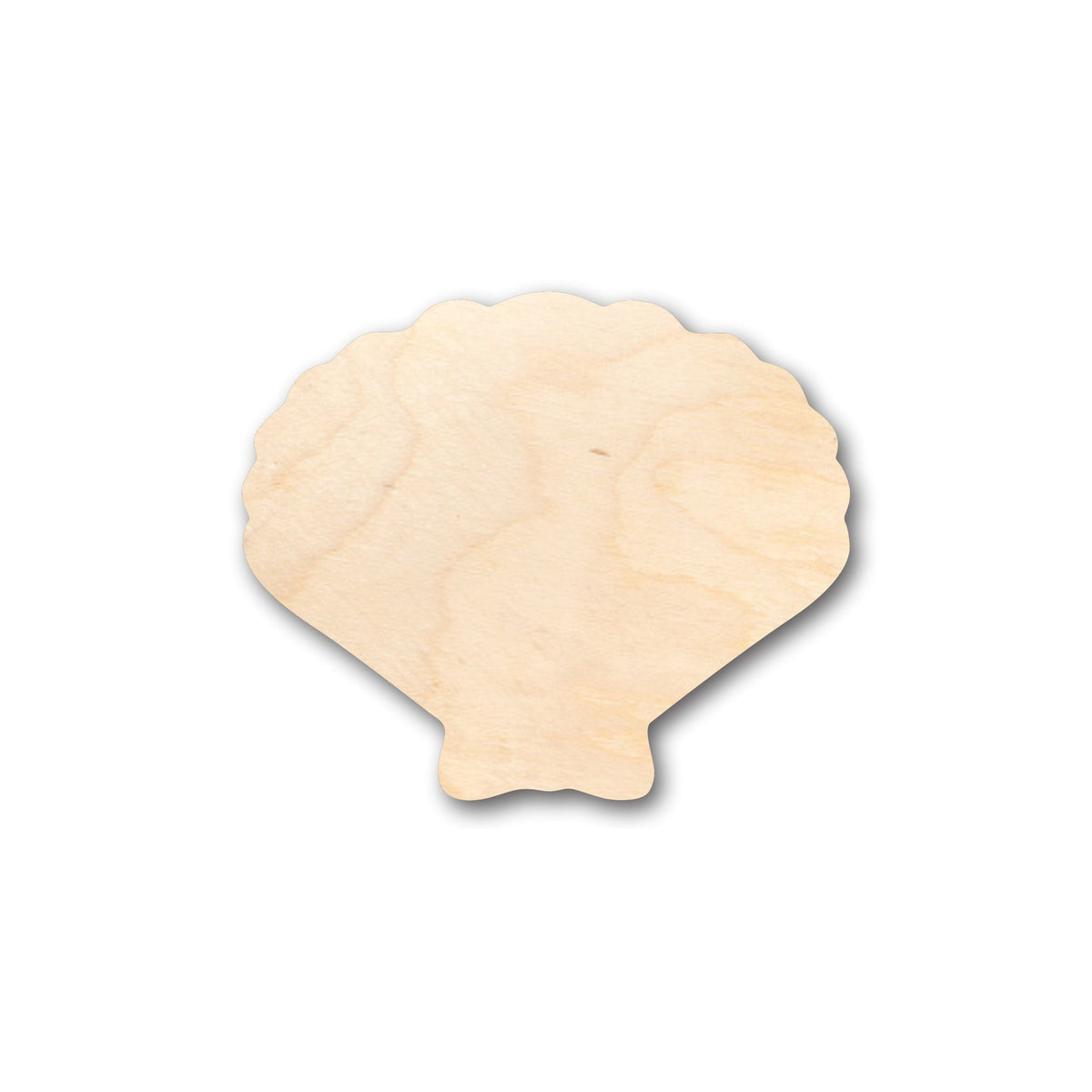 Unfinished Wood Sea Shell Clam Shape - Craft - up to 46" DIY — High ...